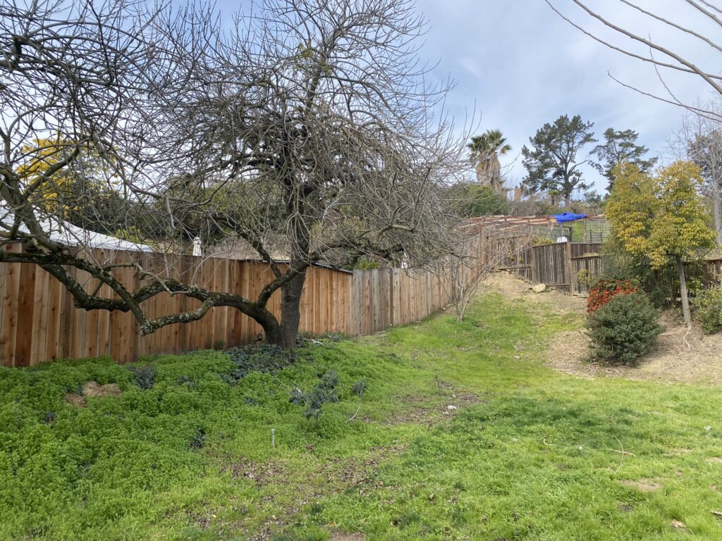How Much Does Garden clean up Costs on Average?